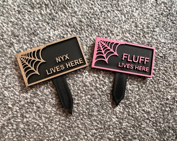 RTS Gardening Theme Jumping Spider Enclosure 4x4x8 - Etsy