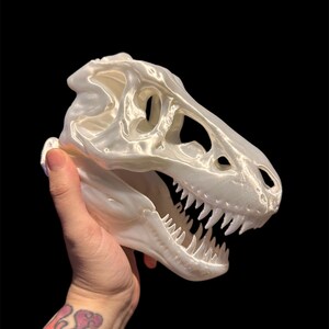 3D Printed T-rex Skull Hide: Reptile Enclosure Decor - Etsy