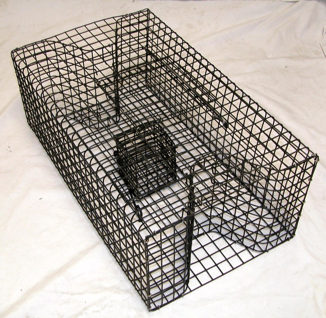 Pin Fish Trap - Etsy