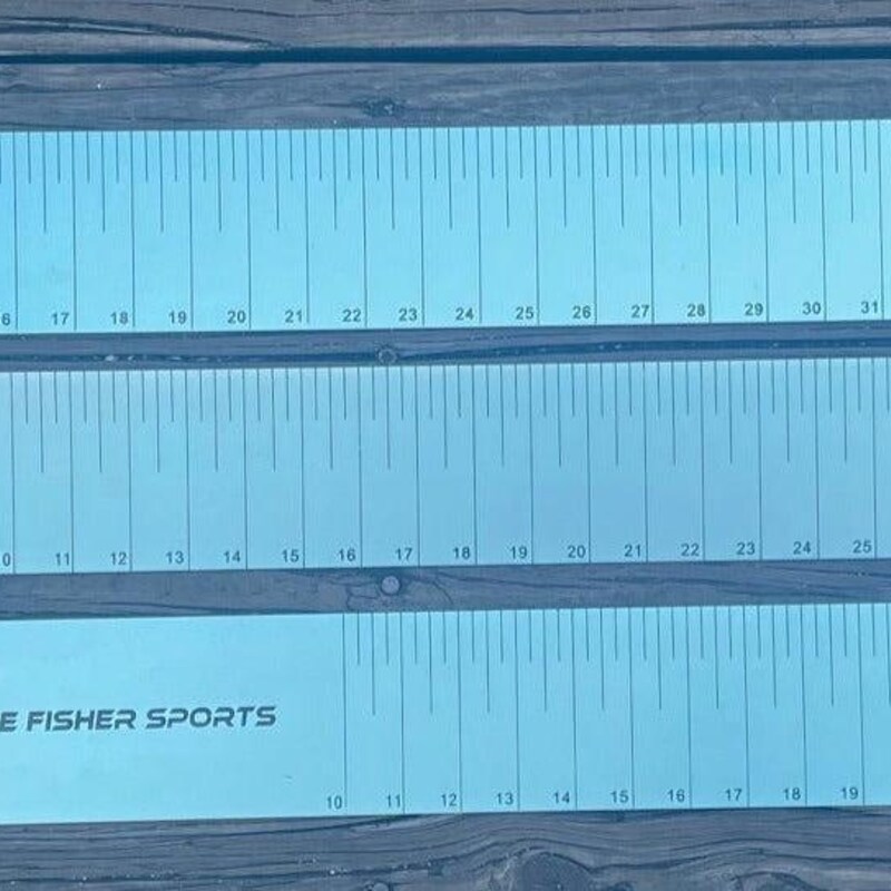 Fish Ruler Svg - Etsy