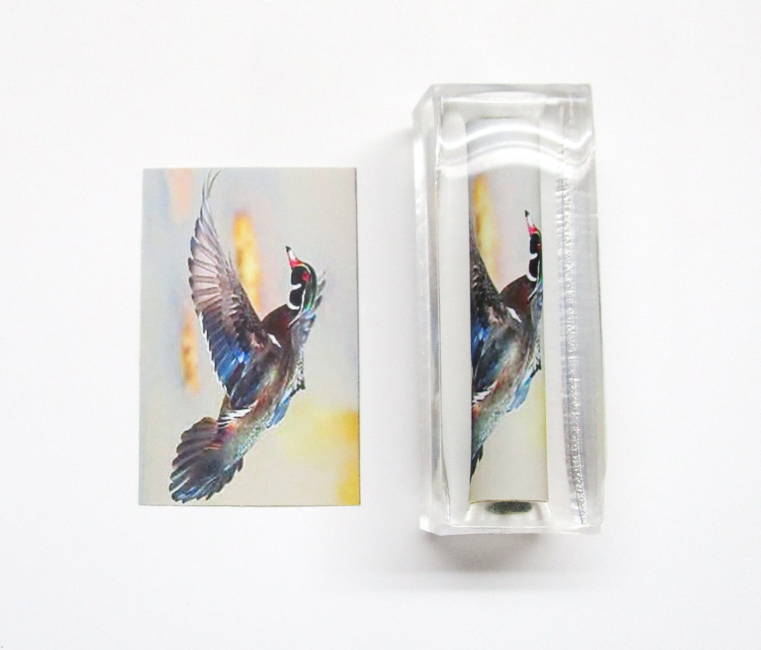 Wood Duck in Flight Pre-tubed Bolt Action Pen Blank - Etsy