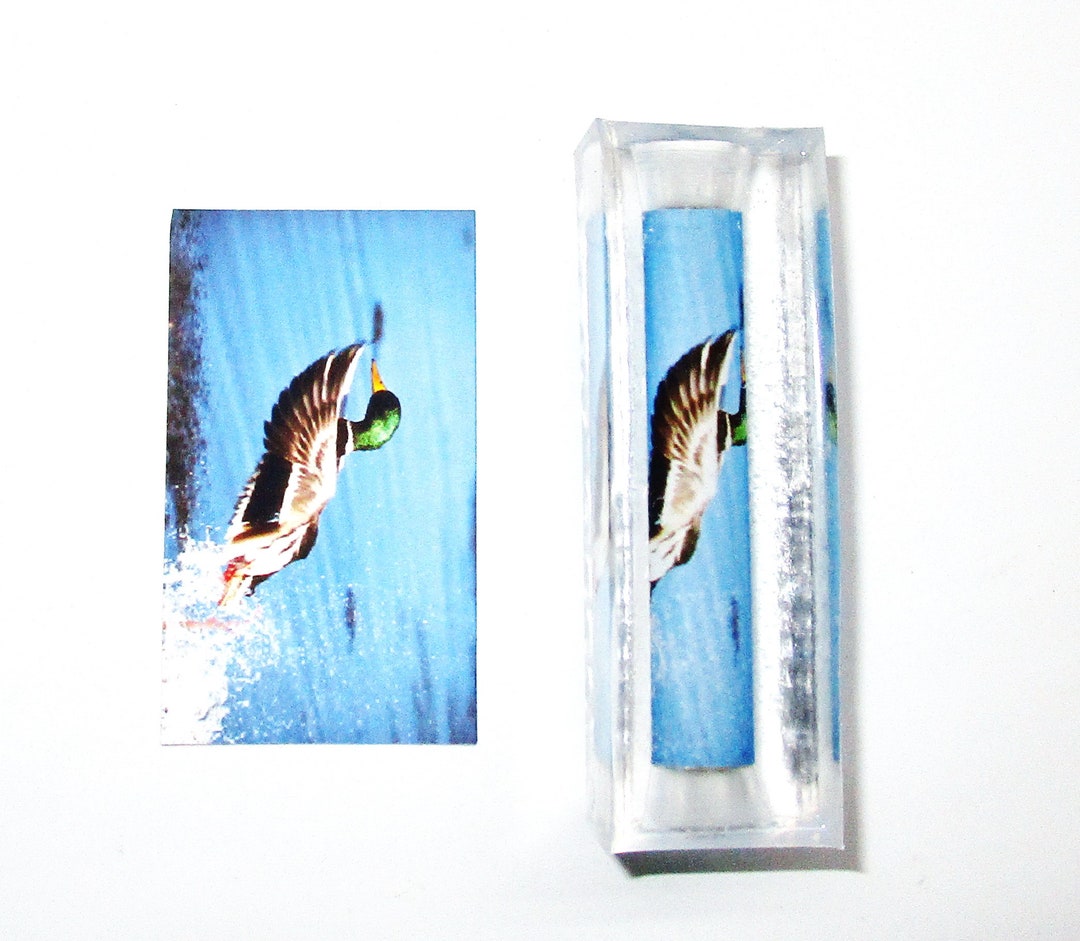 Mallard Duck Taking off Pre-tubed Bolt Action Pen Blank - Etsy