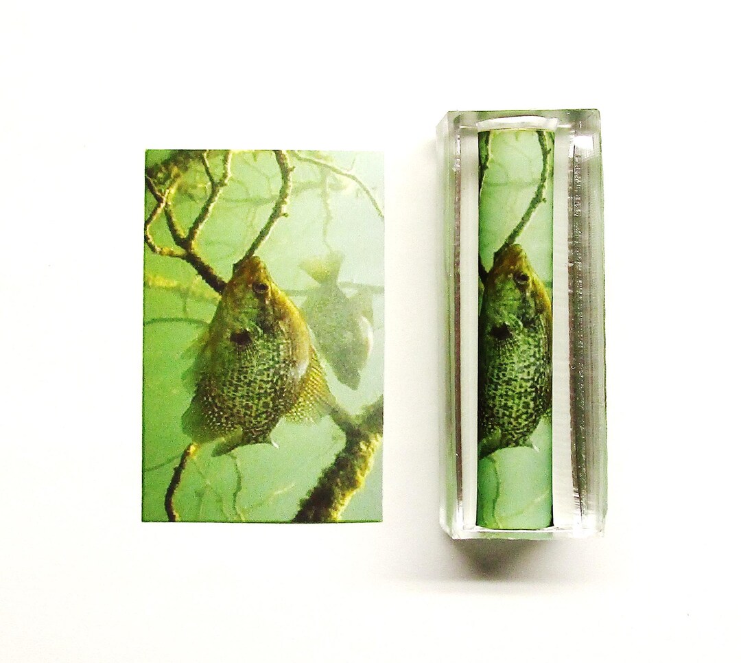 Crappie Fish Pre-tubed Gatsby Pen Blank - Etsy