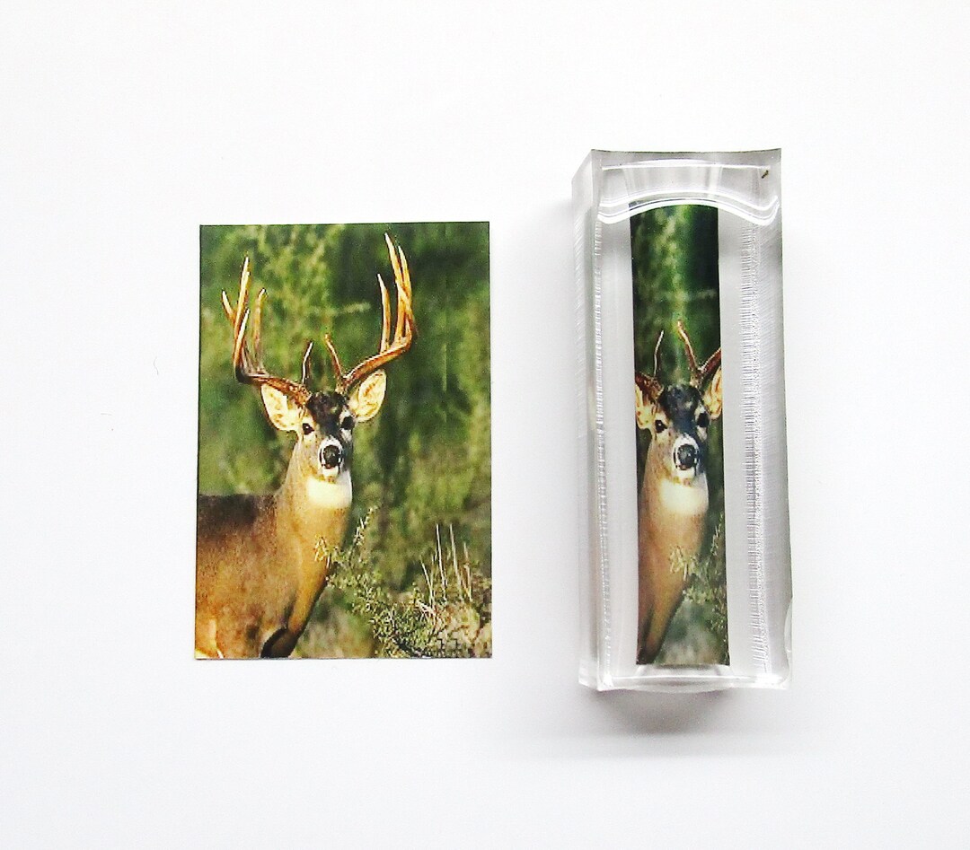 Whitetail Buck Pre-tubed Bolt Action Pen Blank - Etsy