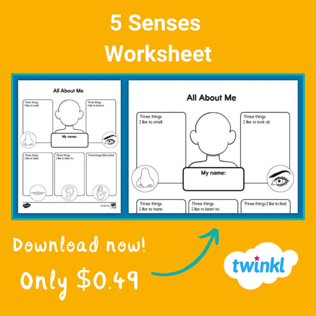 5 Senses Worksheet SEL Worksheet Using the Five Senses Printable - Etsy