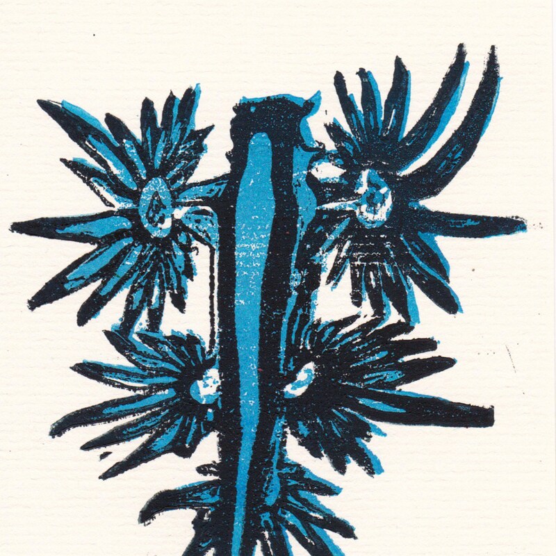 Blue Sea Dragon - Etsy