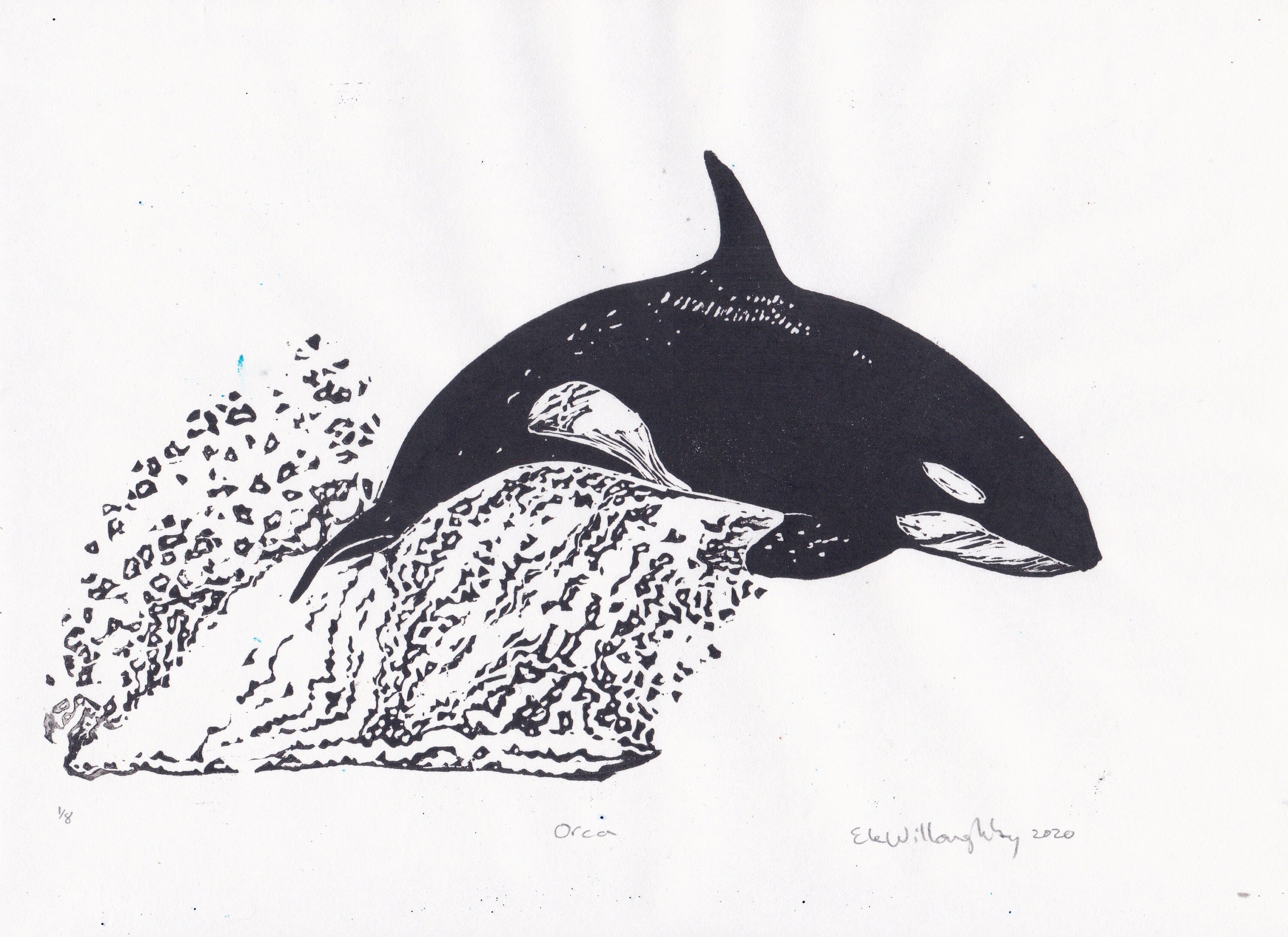 Orca Block Print, Linocut Print of a Killer Whale in Black and White - Etsy