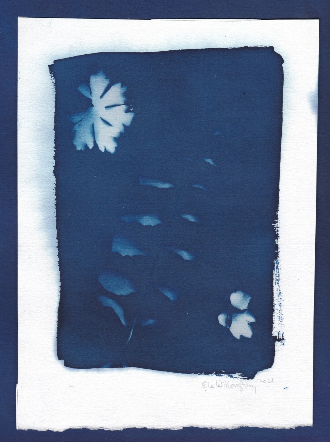 Cyanotype of Various Leaves, on Watercolour Paper With Deckle Edge - Etsy
