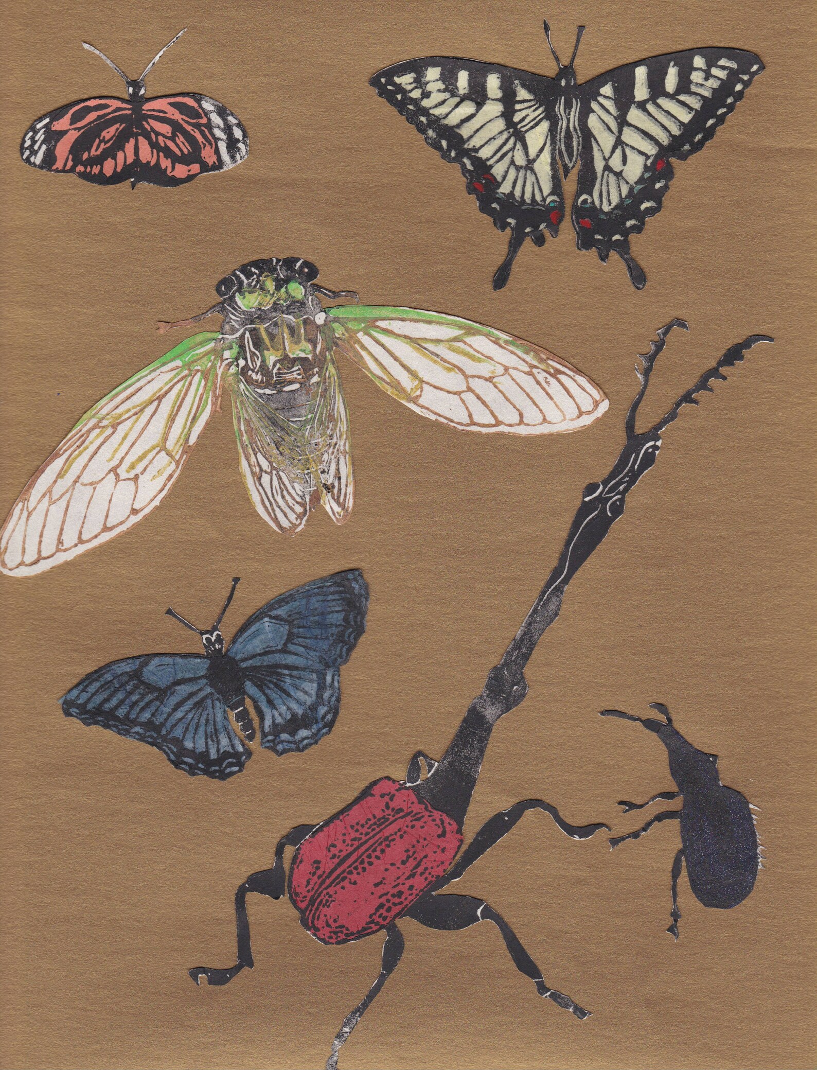 Dog-day Cicada Linocut Mini Lino Block Print of Tibicen - Etsy