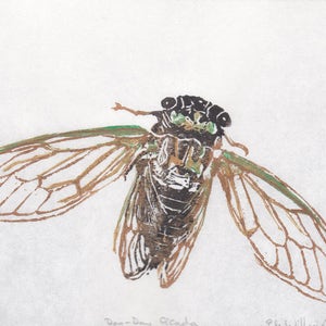 Dog-day Cicada Linocut, Mini Lino Block Print of Tibicen Canicularis ...