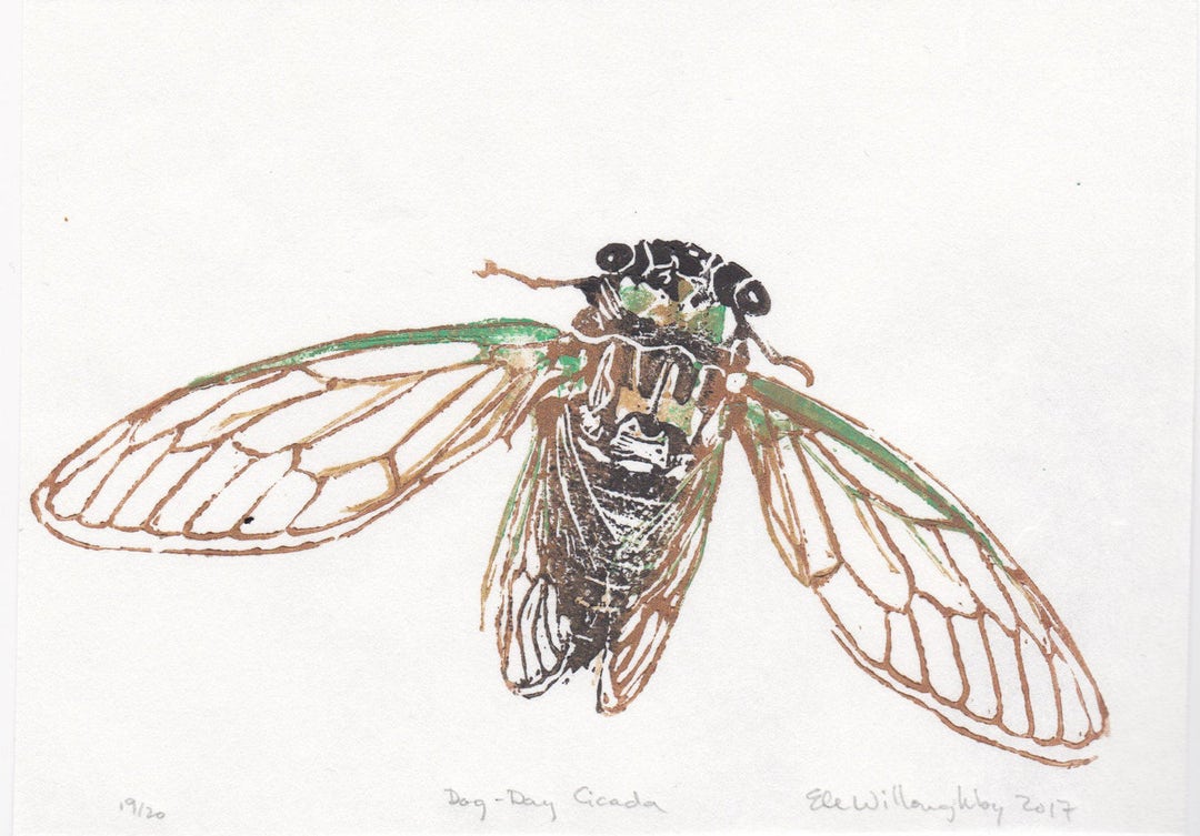 Dog-day Cicada Linocut, Mini Lino Block Print of Tibicen Canicularis ...