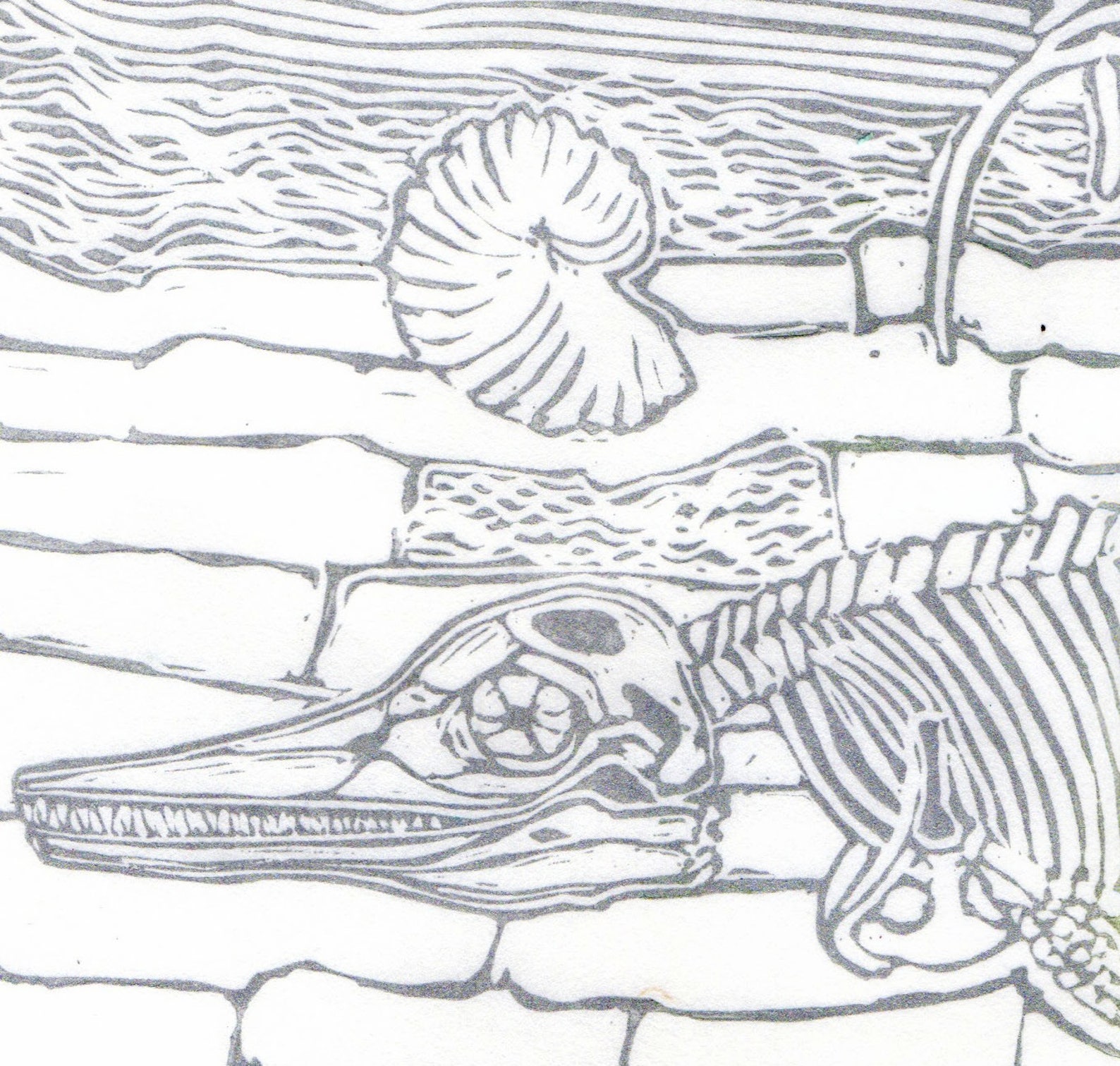 Mary Anning and Fossil Cliffs Linocut History of Paleontology | Etsy