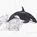 Orca Block Print Linocut Print of a Killer Whale in Black and - Etsy