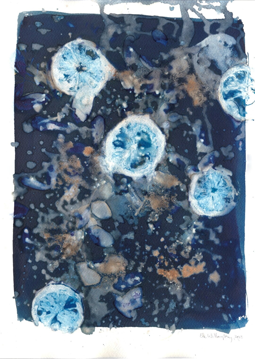 Abstract Wet Cyanotype With Lemon Slices, Black Locust Leaves and More ...