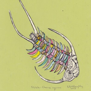 Collaged Trilobite Print: Handprinted Lino Block Trilobite on Assorted ...