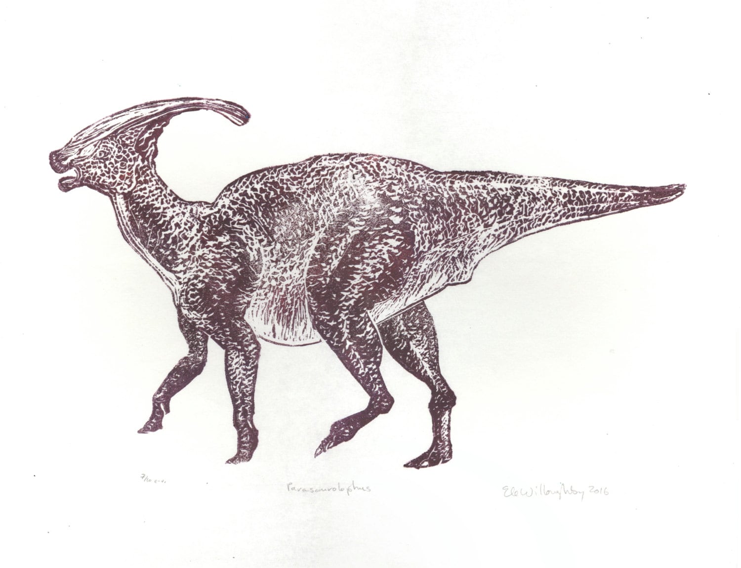 Parasaurolophus Head Drawing