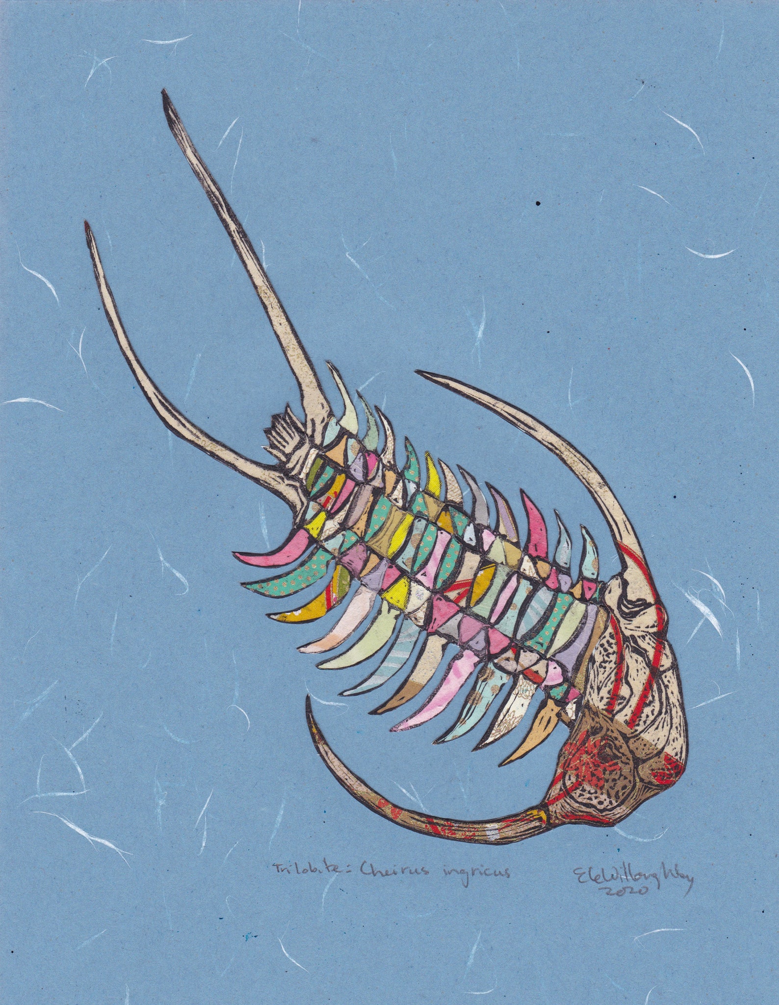Collaged Trilobite Print: Handprinted Lino Block Trilobite on - Etsy