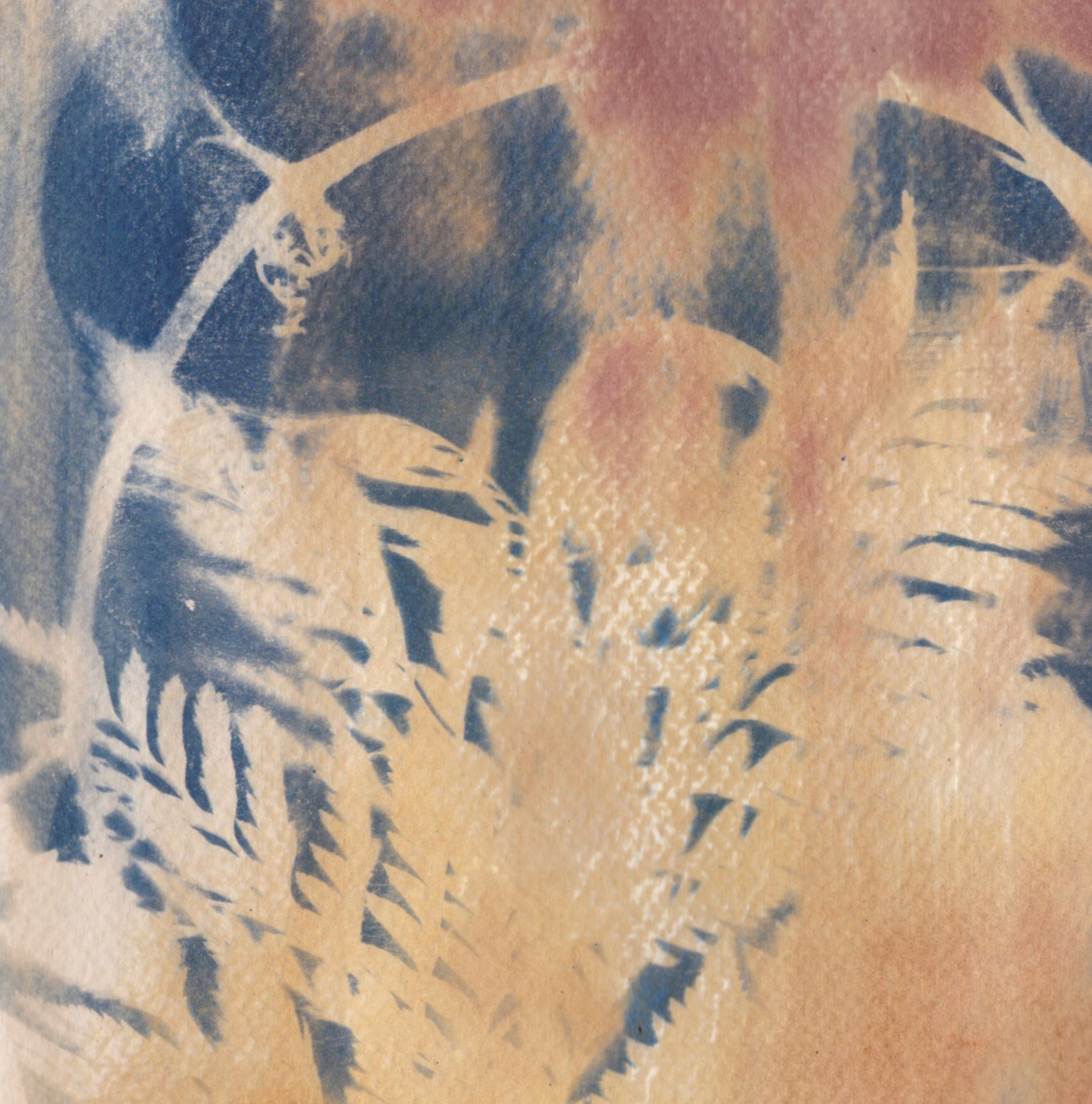 Fern and Virginia Creeper Cyanotype With Turmeric on Watercolour Paper ...