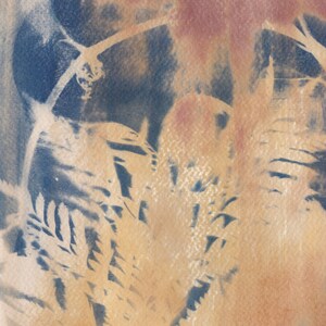 Fern and Virginia Creeper Cyanotype With Turmeric on Watercolour Paper ...