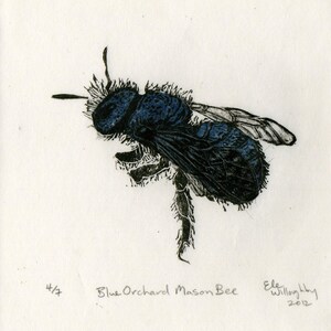 Dog-day Cicada Linocut Mini Lino Block Print of Tibicen | Etsy