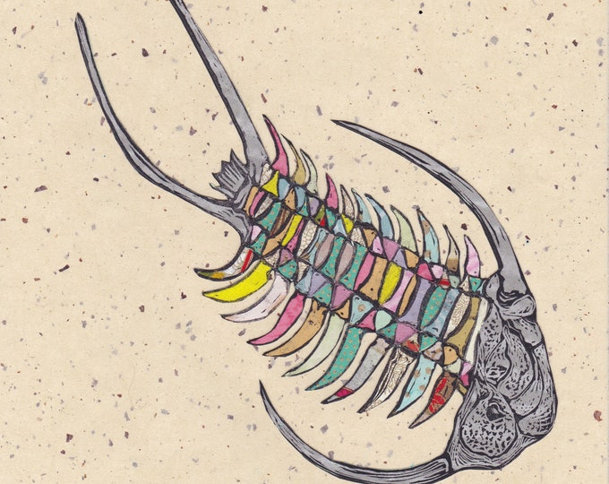 Collaged Trilobite Print: Handprinted Lino Block Trilobite on Assorted ...