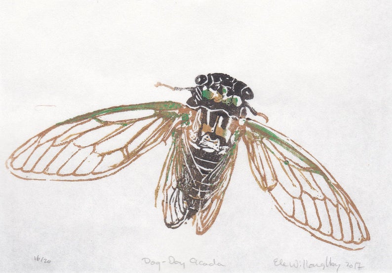 Dog-day Cicada Linocut Mini Lino Block Print of Tibicen - Etsy