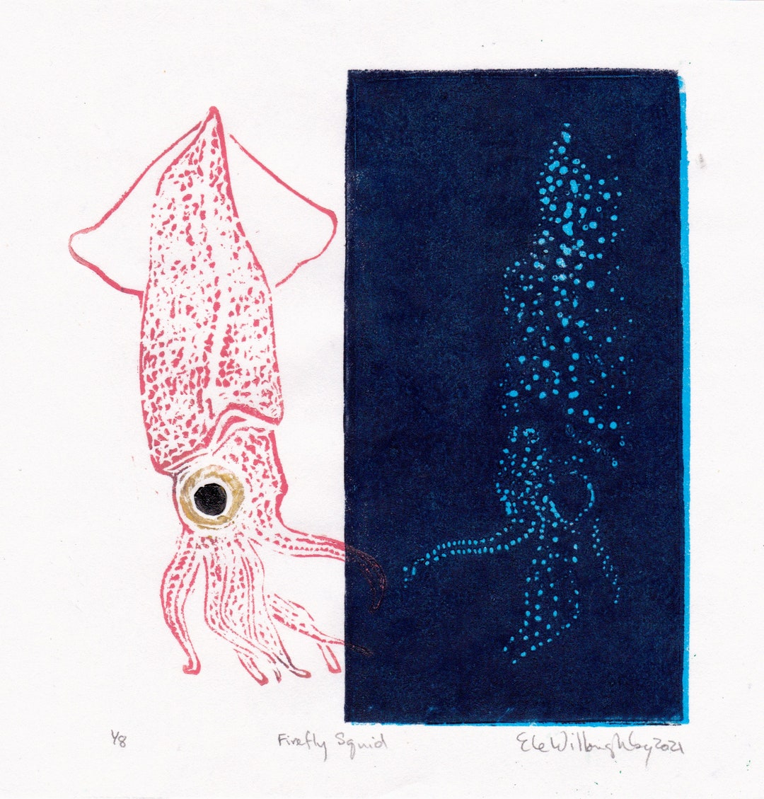 Firefly Squid Lino Block Print, Bioluminescent Squid Print, Sparkling ...