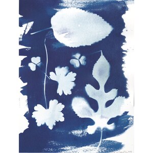 Virginia Creeper Cyanotype With Turmeric on Watercolour Paper - Etsy