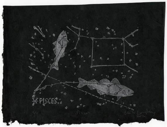 Pisces Fish Constellation