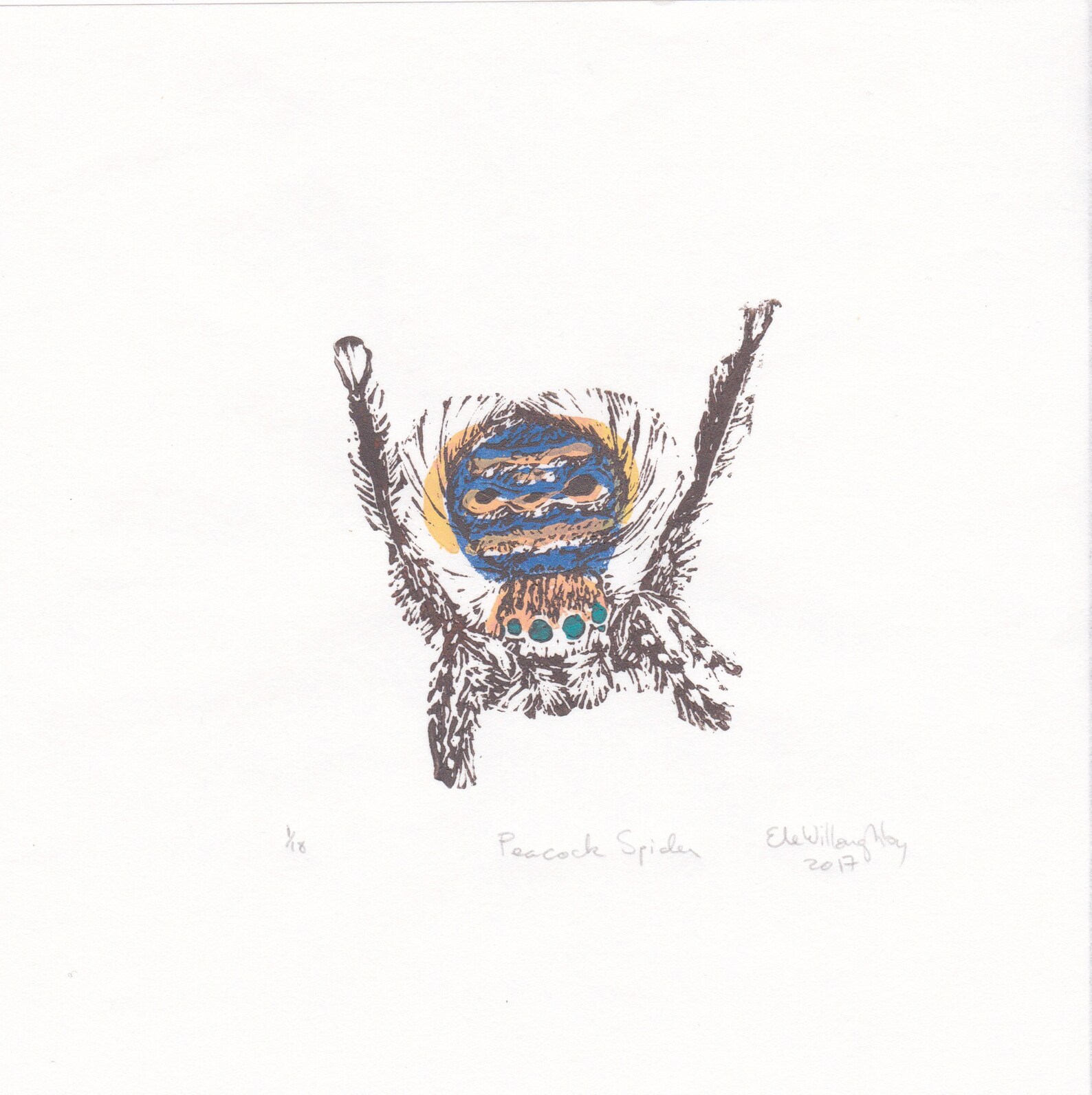 Dog-day Cicada Linocut Mini Lino Block Print of Tibicen | Etsy