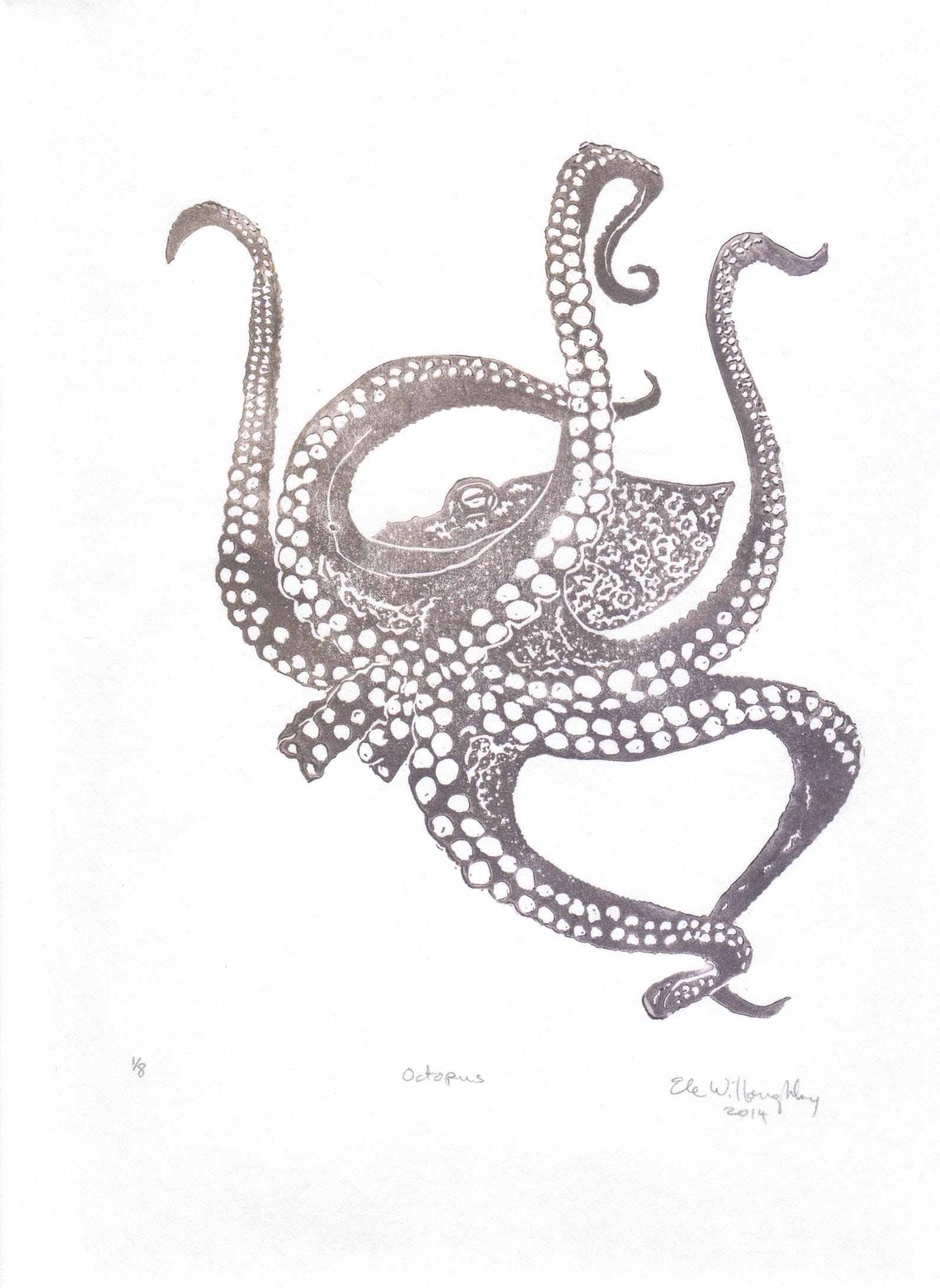 Vampire Squid Lino Block Print - Etsy