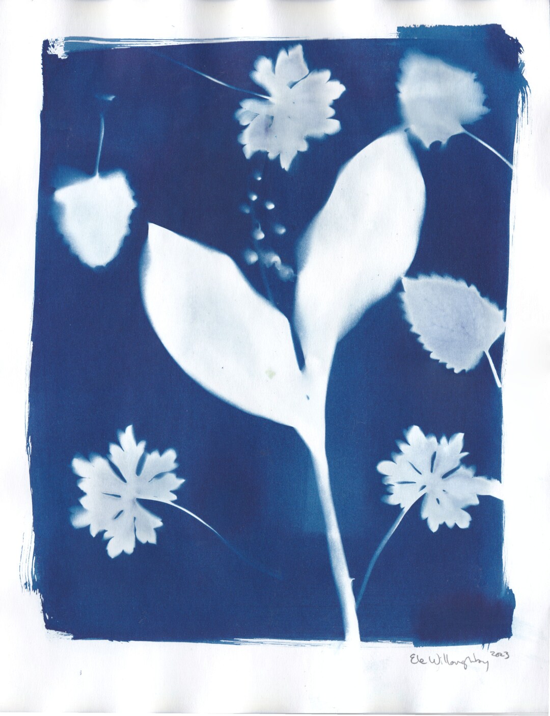 Lily of the Valley Cyanotype on Watercolour Paper - Etsy Canada