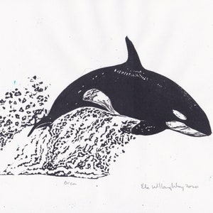 Orca Block Print, Linocut Print of a Killer Whale in Black and White - Etsy