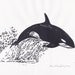 Orca Block Print Linocut Print of a Killer Whale in Black and - Etsy