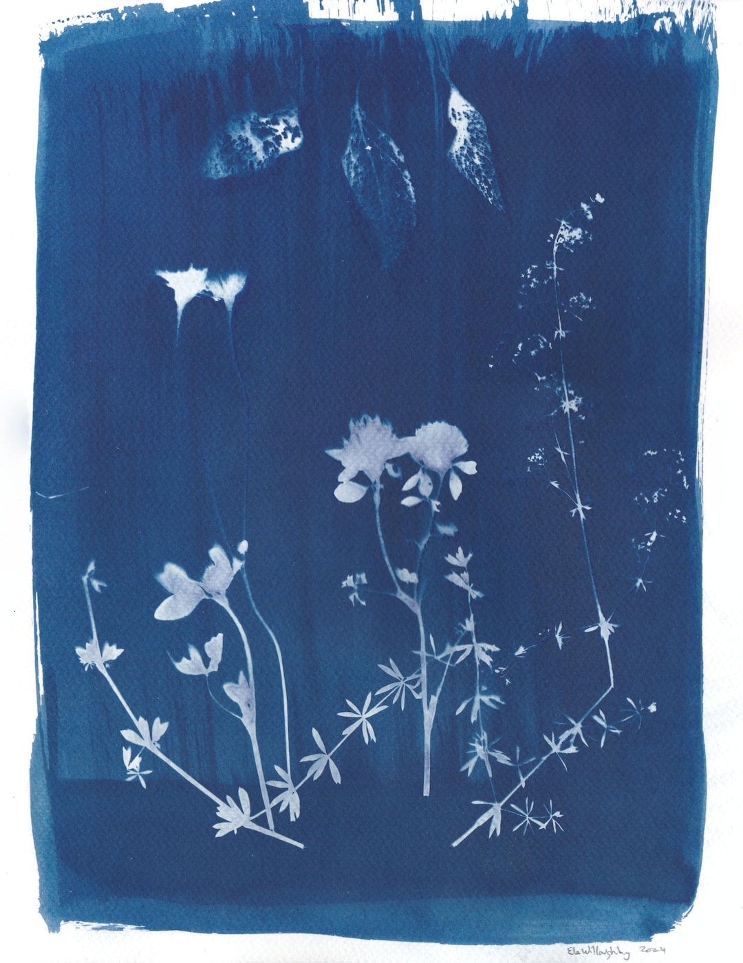 Wildflower and Leaves Cyanotype With Clover on Watercolour Paper - Etsy