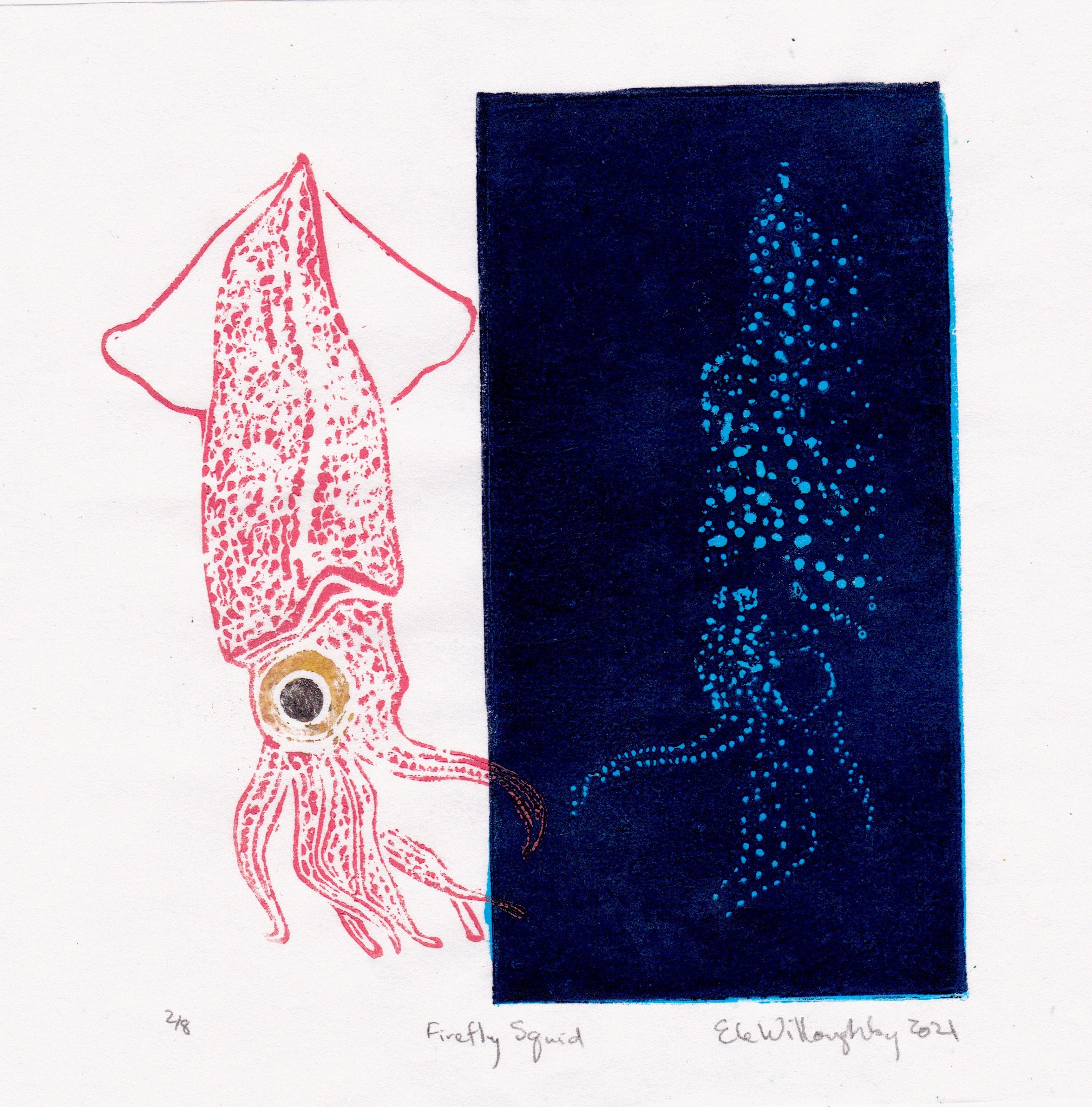Firefly Squid
