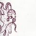 Archival Print of the Giant Pacific Octopus Screenprint - Etsy