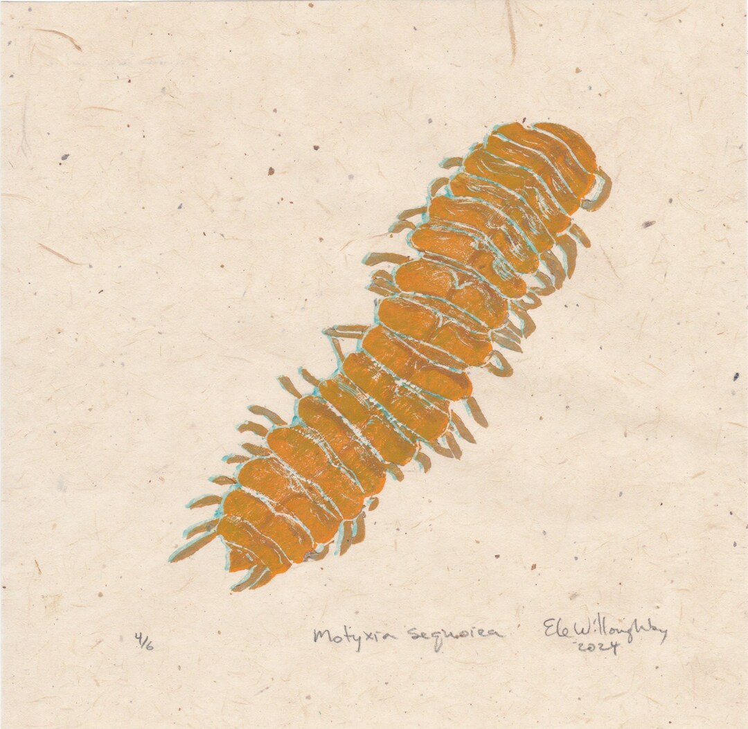 Glowing Millipede Lino Block Print, Glow-in-the-dark Motyxia Sequoia ...