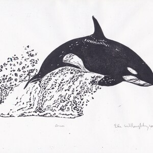 Orca Block Print, Linocut Print of a Killer Whale in Black and White - Etsy