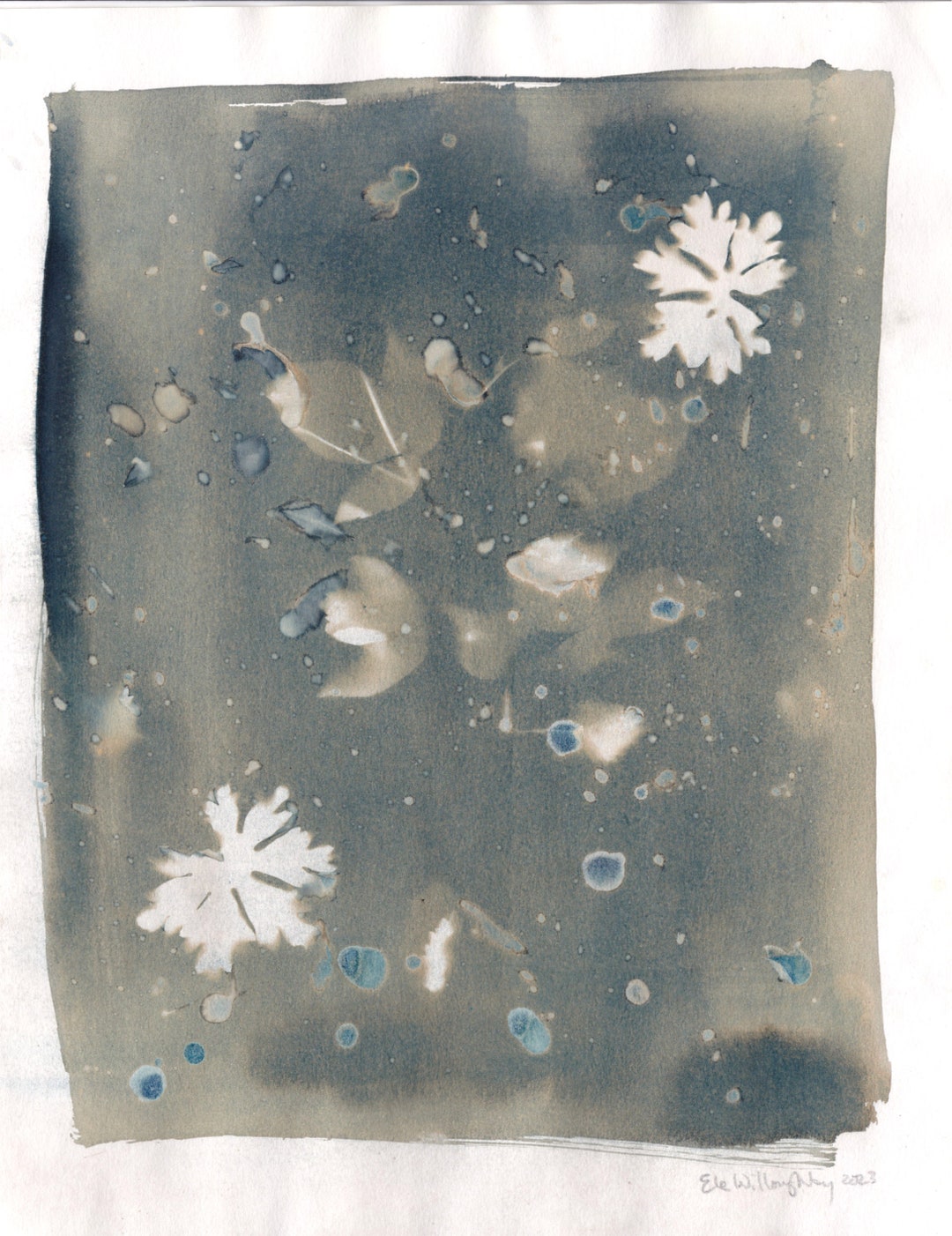 Wet Cyanotype With Leaves, Toned and Tinted With Green Tea, on ...