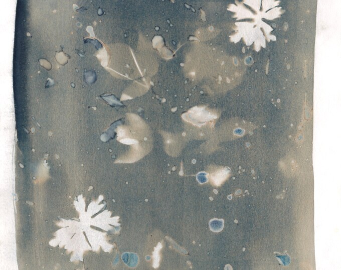 Wet Cyanotype With Leaves, Toned and Tinted With Green Tea, on ...