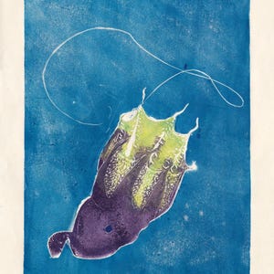 Vampire Squid Lino Block Print - Etsy