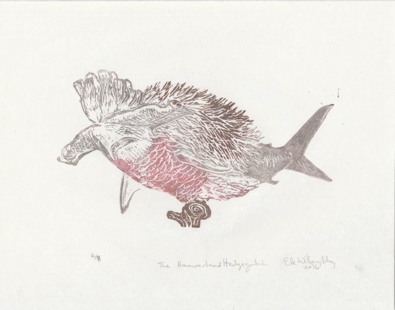 The Hammerheadhedgegalah Composite Creature Linocut Part - Etsy