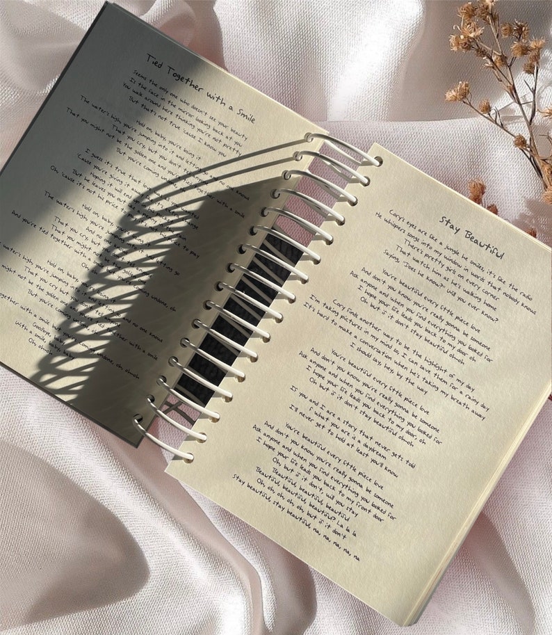Taylor's Lyrics - All the Lyrics to Her Songs (INCLUDES T12) - Etsy