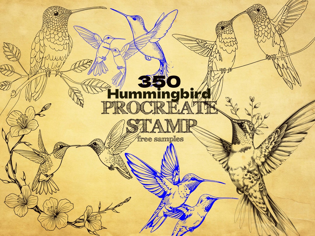 350 Hummingbird Procreate Stamps, Humming Bird Stamps, Humming Bird ...