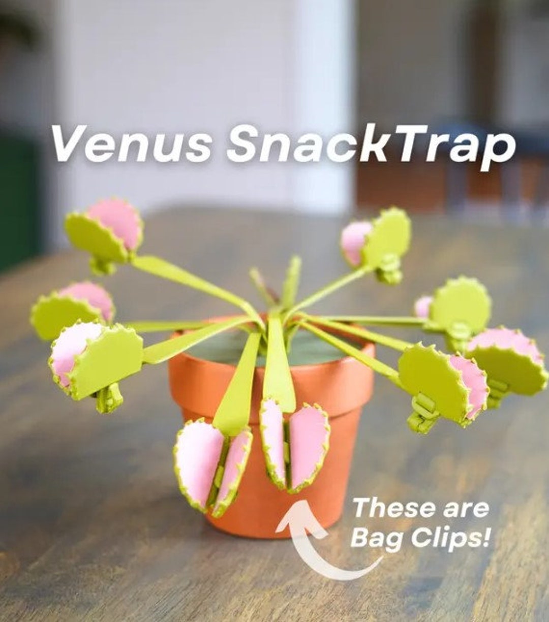 Venus Stack Trap With 4" Terracotta Pot. Clips Your Chip Bags! Each ...