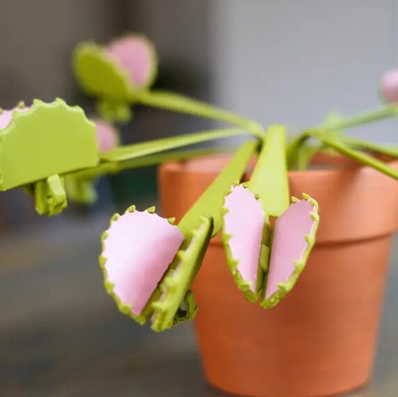 Venus Stack Trap With 4" Terracotta Pot. Clips Your Chip Bags! Each ...