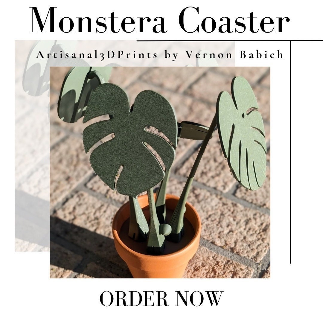 Monstera Coaster Set With 4" Terracotta Pot. Each Leaf is a Coaster ...