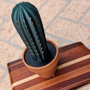 Cactus Toothpick Holder and Dispenser Plant With 4" Terracotta Pot ...