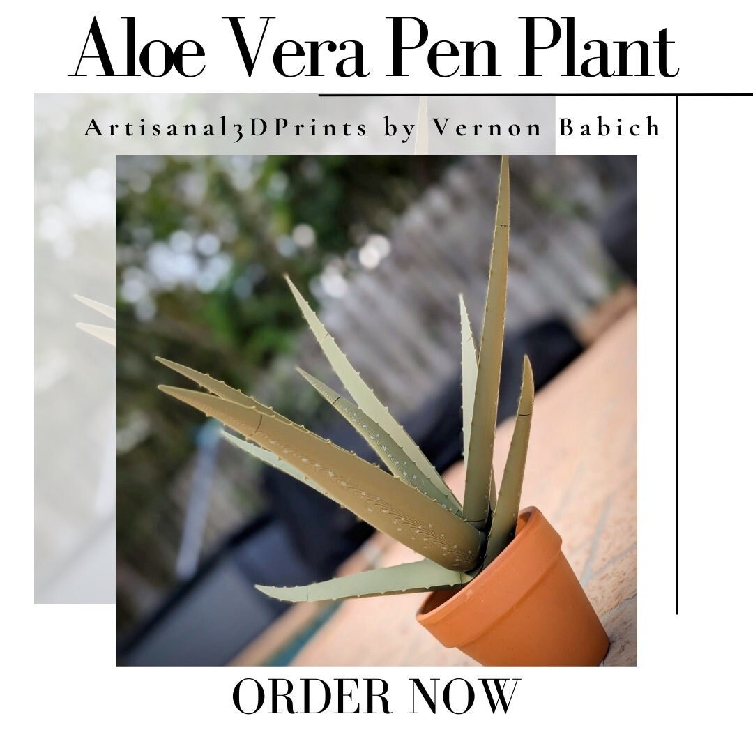 Aloe Vera Pen Plant With 4" Terracotta Pot. Each Stem is a Pen With the ...